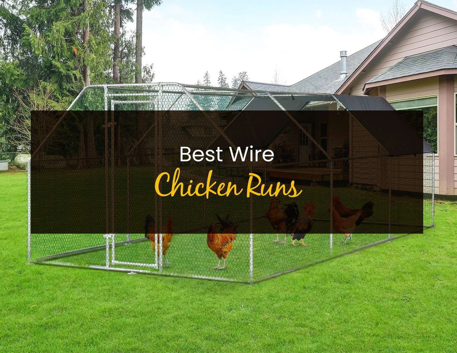 Best Wire Chicken Runs - Little Pet Corner