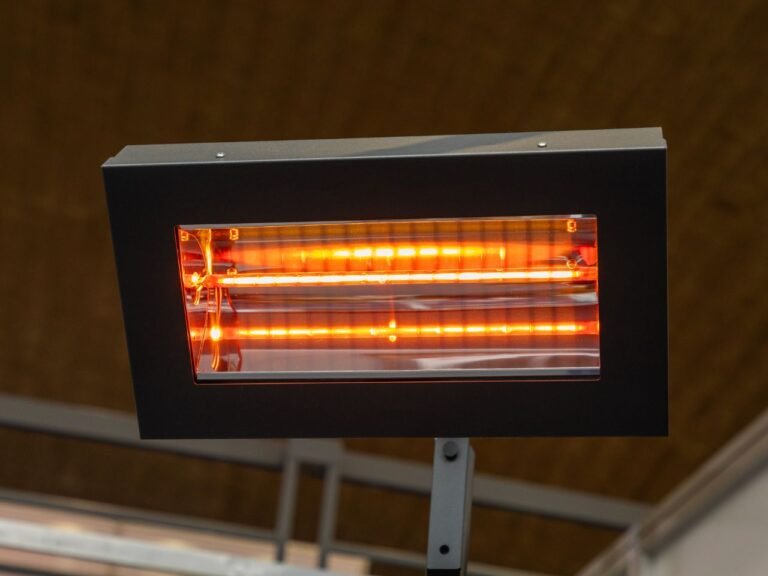 Best Heat Lamps for Dogs - Little Pet Corner